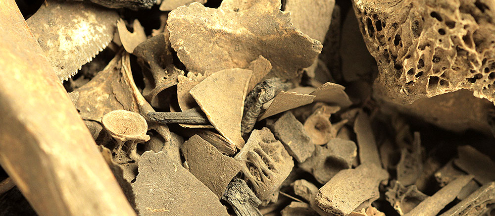 Bone tools | Harpoons, fishhooks, needles, flutes, combs | Archeofact